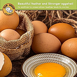 UCM Group 10LB Dried Black Soldier Fly Larvae for Chickens, Birds and Small Pets, High in Calcium