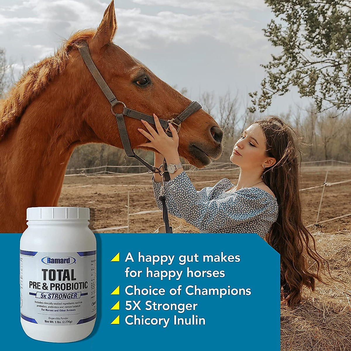 Ramard Total Pre & Probiotic Plus Blood Fluids Muscle Replenishment Supplement Bundle - 50 Million CFU Formulated w/Natural Chicory Inulin, & Electrolytes for Equine, Foals & Adult Horses Supplements