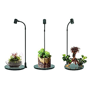 HIRO AQUATICS Mini Terrarium Aquarium Black Spotlight for Potted Plants, Betta Fishes, Bottle Jars, Displays, Indoor Plant, Succulents, Air Plants