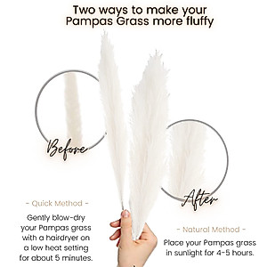 Livmore White Pampas Grass 35 Pcs, 19 inches/48cm Fluffy Natural Dried for Boho Wedding Centerpieces, Photography and Home Decor, Flower Arrangement Vase Fillers ,Kitchen and Garden Decorations