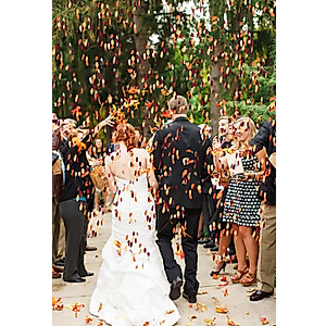 Fall Birthday Party Decorations/Fall Confetti Thanksgiving Decorations/Maroon Orange Confetti/Graduation Burgundy Orange Pumpkin Table Decorations/Burgundy Orange Weddings