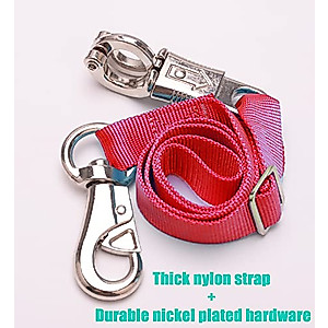 Adjustable Trailer Tie （2 Pack）-Horse Trailer Nylon Strap Tie，Adjusted from 25 to 37” (Red)