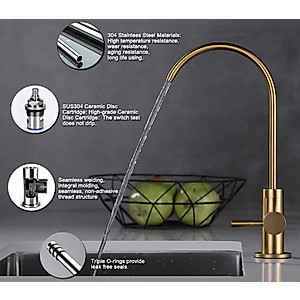 ESOW Kitchen Water Filter Faucet, 100% Lead-Free Drinking Water Faucet Fits Most Reverse Osmosis Units or Water Filtration System in Non-Air Gap, Stainless Steel 304 Body Brushed Gold Finish