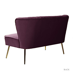 TINA'S HOME Contemporary Velvet Loveseat Sofa, Upholstered Loveseat Couch with Golden Metal Legs, Small Tufted 2-Seat Sofa Armless Love Seat for Living Room, Bedroom, Apartment Small Spaces, PURPLE