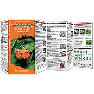 Medicinal Plants of the Eastern Woodlands: A Folding Guide to Familiar Species (Outdoor Recreation and Survival)