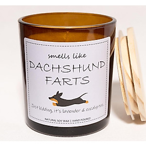 Dachshund Gifts, Dachshund Gifts for Women, Weiner Dog Gifts for Women, Dachshund Candle, Weenie Dog Gifts, Wiener Dog Gifts, Weiner Dog Gifts, Dachshund Decor