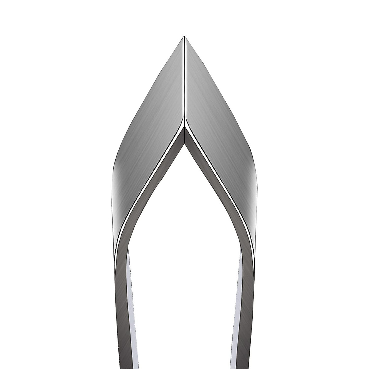 2 Pcs Tweezers, Stainless Steel Non-slip Flat and Slant Tweezers Fish Salmon Bones Remover Tool