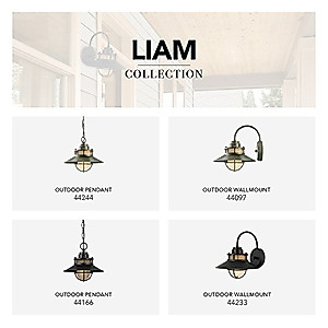 Liam 1-Light Outdoor/Indoor Pendant, Black, Matte Finish,44166