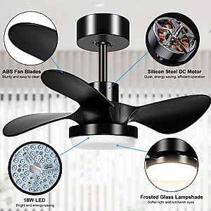 Black Ceiling Fans with Lights and Remote, 25 Inch Indoor Outdoor Dimmable Ceiling Fans with Light, 3 Blades Modern Ceiling Fan Light with DC Motor for Bedroom, Living Room, Kitchen, Office