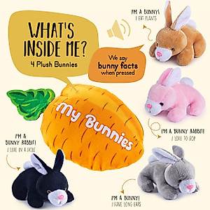 My Bunnies Plush Toy Set | Includes 4 Talking Fluffy Rabbits | Gray, Tan, Pink, and Black Bunnies with A Plush Carrot Shaped Carrier | Great Gift for Baby and Toddler Girls or Boys