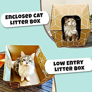 Cats Desire - 15 Trays, Disposable Litter Boxes for Cats - Litter Box, Fits Large Cats - Water Resistant Cat Litter Box - Made in USA, 19" L x17 W x 8.5" H - Enclosed Box