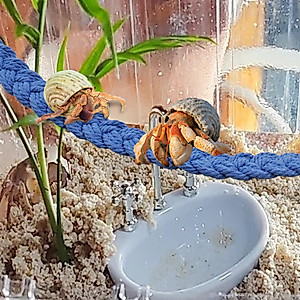 MUYG 2PCS Hermit Crab Climbing Toys,Hermit Crab Rope Ladder Decor Reptile Hanging Vines Toys Hermit Crab Supplies Reptiles Habitat Tank Terrarium Accessories for Lizard Leopard Gecko Tree Frog(Blue)
