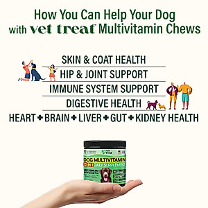 Dog Multivitamin Chewable with Glucosamine -Made in USA- Puppy & Senior Supplement - 120 Treats - Dog Vitamins and Supplements - Skin, Heart, Immunity, Hip & Joint Support + Salmon Oil + Probiotics