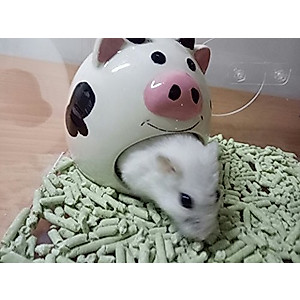 Small Animal Hideout Ceramic House Critter Bath House Cave Mini Hut Cage for Chinchilla Hamster (White)