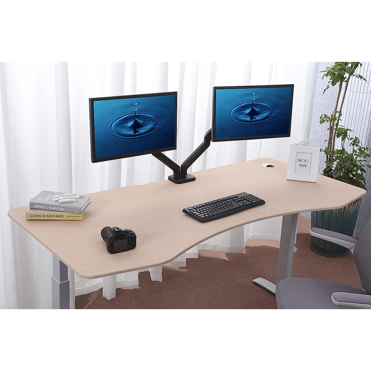 ApexDesk Elite Pro Series 60" Electric Height Adjustable Stand up Desk, Sit Stand Home Office Desk, Computer Desk - Curved Oak