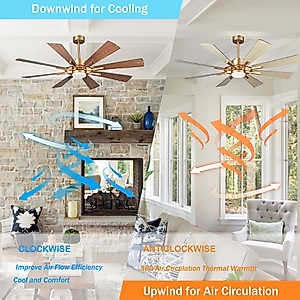 Parrot Uncle Ceiling Fans with Lights and Remote 60 Inch Ceiling Fan with Light Large Outdoor Ceiling Fans for Patios with LED Light, Copper