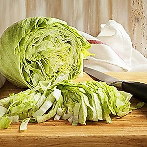 David's Garden Seeds Lettuce Iceberg 4539 (Green) 200 Non-GMO, Heirloom Seeds