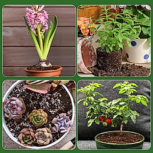 Doter Organic Seed Starter Premium Potting Soil Mix 1qt, All Natural Seed Starter Mix for Fast Germination and Vigorous Seedlings with Strong Root Systems