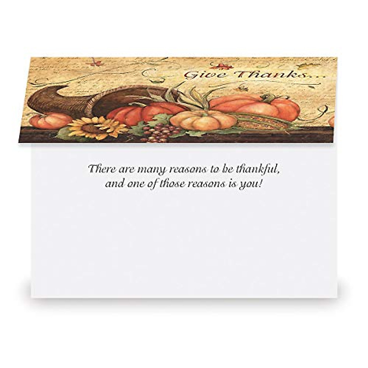 Current Harvest Thanksgiving Greeting Cards Set - Themed Holiday Card Variety Value Pack, Set of 6 Large 5 x 7-Inch Cards, Assortment of 3 Unique Designs, Envelopes Included