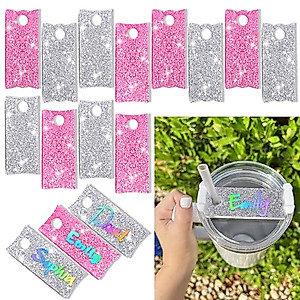AIERSA Name Plate or Stanley Cup Lid 40oz Tumbler with Handle, 6pcs Pink, 6Pcs Silver