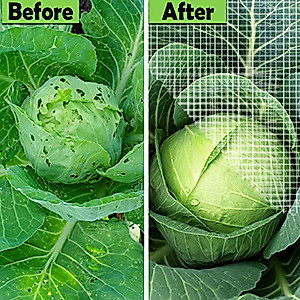 Garden Barrier Netting, 10ftx33ft Ultra Fine Mesh Netting Protection Screen Bird Net Plant Covers Row Cover Protect Plants Fruits Flowers Against Birds & Squirrels for Greenhouse Patio