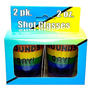 Black Ball Corp. Sounds Gay I'm In - 2oz Novelty Shot Glass - 2 Piece Set
