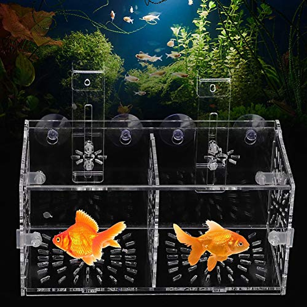 Aquarium Breeder Box, Acrylic Transparent Fish Breeding Box Tank Hatchery Incubator Aquarium Isolation Box(20CM*10CM*10CM)