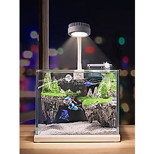 3 Pack Fish Tank Decorations,Cartoon Little Diver Aquarium Decoration Fish Tank Aquarium Diver Ornament Floating Aquarium Accessories