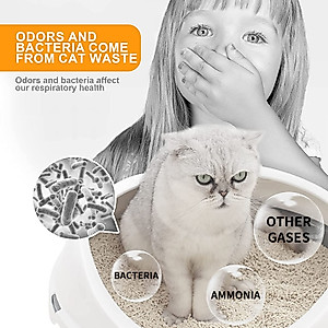 Taleva Cat Litter Deodorizer, Cat Litter Deodorizing Granules, Cat Litter Sterilization Deodorization Beads, Cat Litter Powerful Odor Eliminating Beads, Pet Mat Powerful Deodorizing Beads