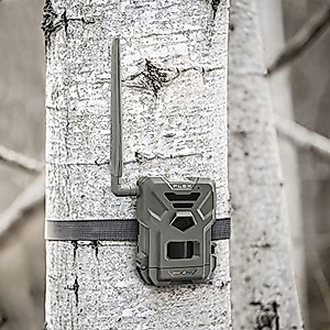 SPYPOINT Flex Cellular Trail Camera - Dual-Sim LTE,1080p Videos, 33MP Photos,Night Vision 4 LED Infrared Flash, 100'Detection Range,0.3S Trigger Speed,GPS Enabled,Cell Cameras for Hunting-for USA only