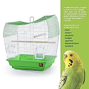Prevue Pet Products South Beach Wave Top Bird Cage, Lime Green (SP50081)