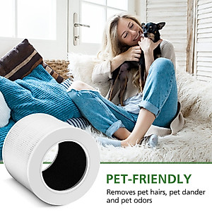 2-Pack Core Mini Filter Compatible with LEVOIT Core Mini Air Purifie-r, 3-in-1 H13 HEPA High-Efficiency Activated Carbon Pre-filter for LEVOIT Core Mini Replacement Filter, Core Mini