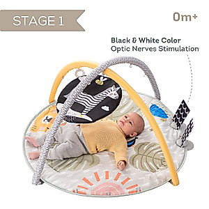 Taf Toys Savannah 360° Activity Gym with Music & Light & 20 Playful Activities, Thickly Padded with Soft Mat and a Unique “Crinkle Toy” for a Variety of Body Positioning for Newborn and Up