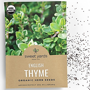 Organic English Thyme Seeds – Seed Packet of Over 8000 Open Pollinated Non-GMO Seeds – Sweet Yards Seed Co.