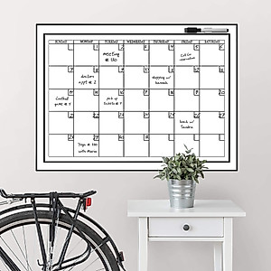WallPops WPE94575 Medium Monthly Calendar, White & Off-White