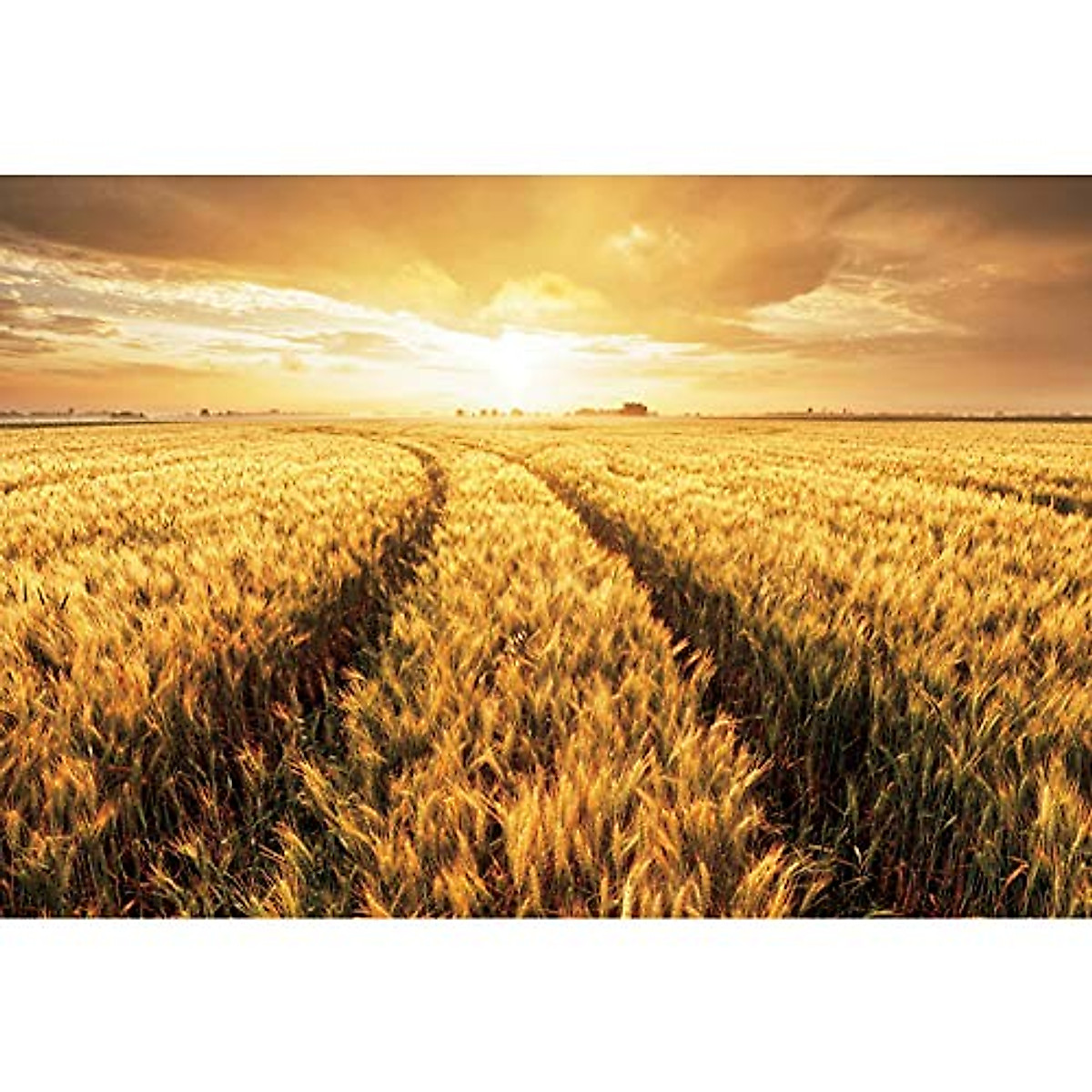 Renaiss 10x8ft Gold Cornfield Backdrop for Photoshoot Yellow Sunshine Clouds Harvest Field Photography Background Photo Booth Live Broadcast Video Prop Portraiture Party Family Gathering Outdoor Decor