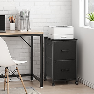 Raybee File Cabinets for Home Office 2 Drawer File Cabinet Filing Cabinets for Home Office Small File Cabinet on Wheels Office File Cabinets Fabric,for Letter/Legal / A4