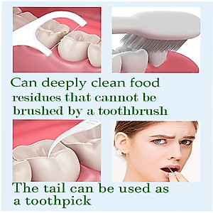 Floss Dental Picks Holy Rose Flosser Toothpick Tasteless Floss Stick Bagged Fine 600 Count White Dental Floss)