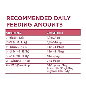 Purina ONE Natural, Sensitive Stomach Dry Dog Food, +Plus Skin & Coat Formula - 31.1 lb. Bag