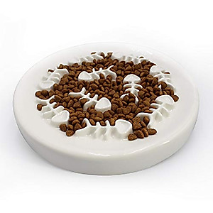Slow Feeder Cat Bowl,Cat Puzzle Feeder Ceramic Dish with Fish Bone Design,Fun Interactive Slow Down The Eating Speed of Pets,Against Bloat,Indigestion