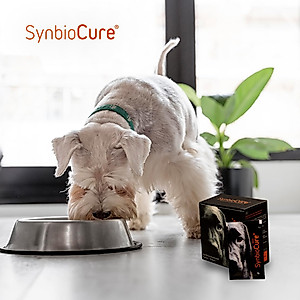 Synbiocure I Probiotics & Prebiotics for Dogs I Powder Dog Supplement I Digestive Health Support I 200 Billion Bacteria Per Sachet I 30 Sachets*2 g
