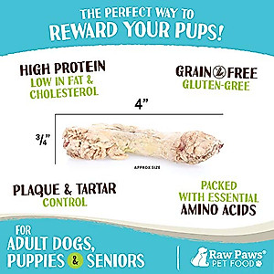 Raw Paws Freeze Dried Chicken Necks for Dogs & Cats, 4-oz - Made in USA, Human Grade - Raw Freeze Dried Dog Treats - Raw Chicken Necks for Cats - Antibiotic-Free Real Chicken Cat Treat