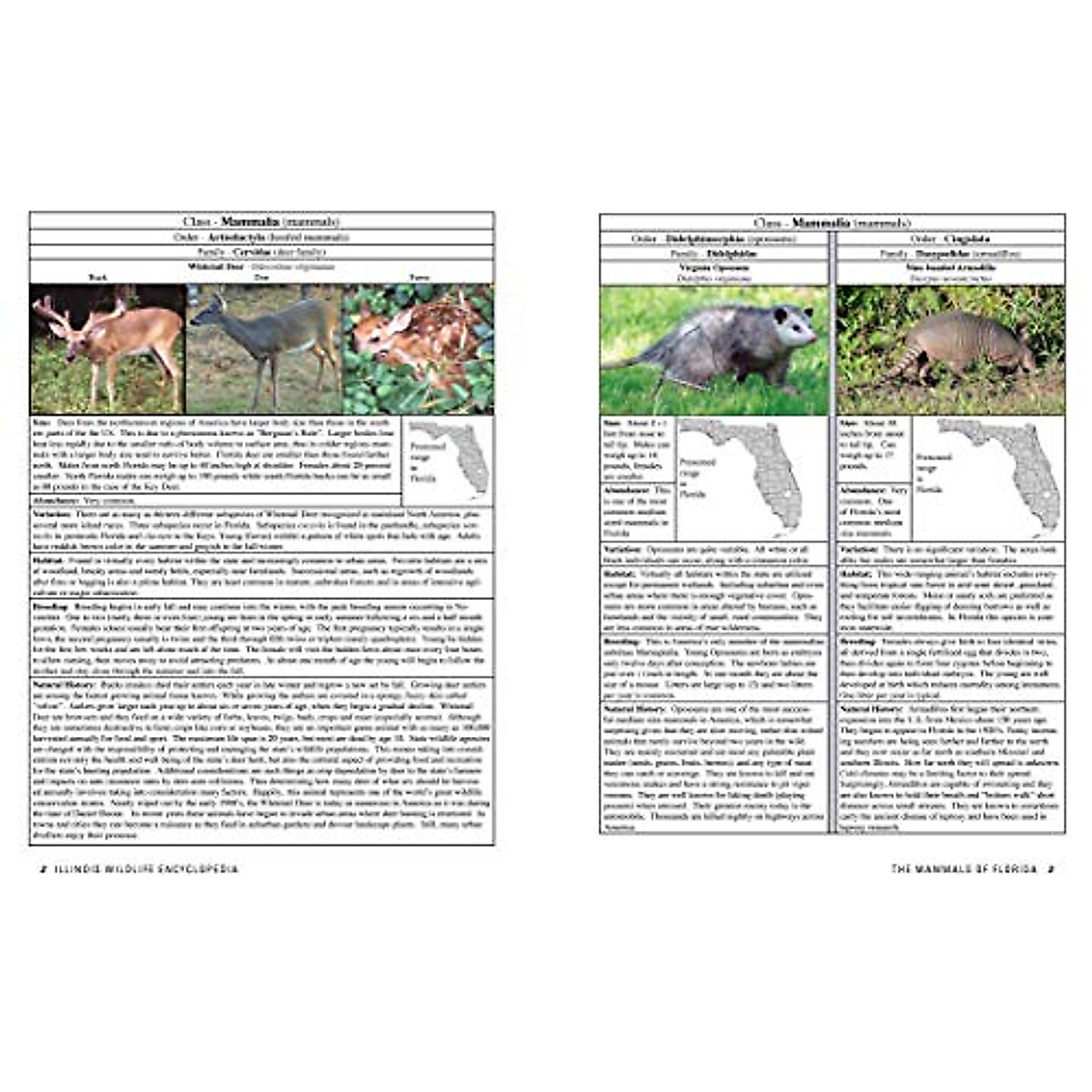Florida Wildlife Encyclopedia: An Illustrated Guide to Birds, Fish, Mammals, Reptiles, and Amphibians