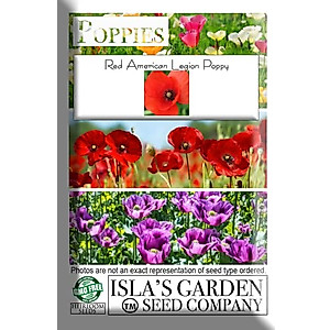 Red American Legion Poppy Seeds, 3000 Heirloom Flower Seeds Per Packet, (Isla's Garden Seeds), Non GMO Seeds, Scientific Name: Papaver rhoeas