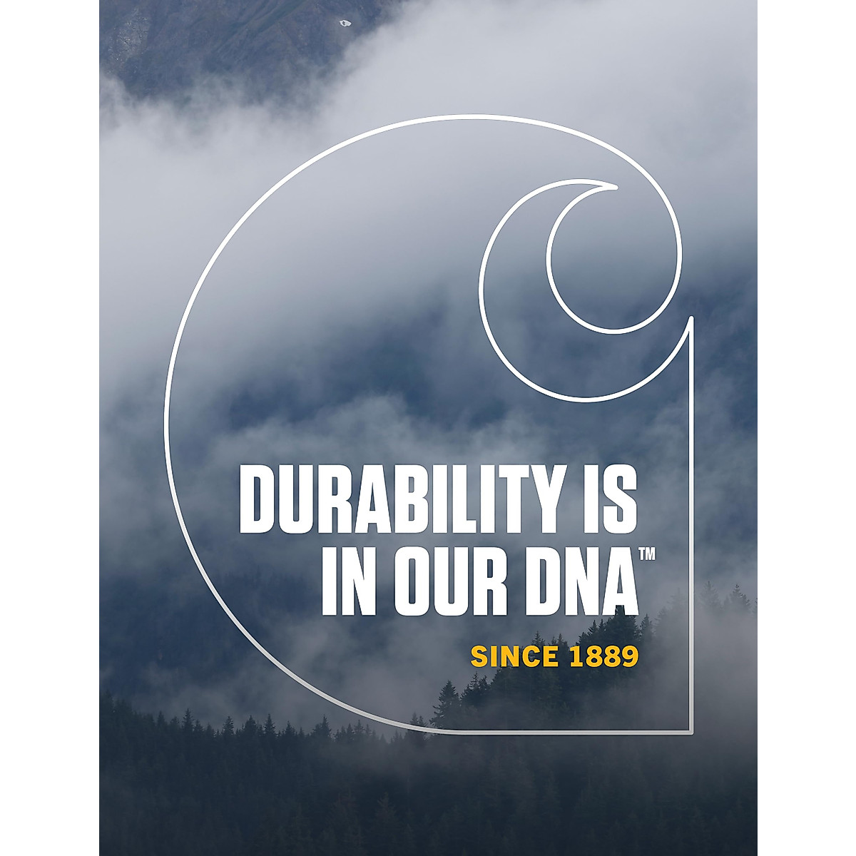 Carhartt Men's Knit Cuffed Beanie, Brown, One Size