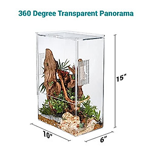 Reptile Terrarium Tank,Tarantula Enclosure 15’’x10’’x6’’ INKPET Acrylic Medium Feeding Tarantula Habitat Box for Hermit Crab,Leopard Gecko,Snake,Frog and Chameleon Cage(No Assembly Required)