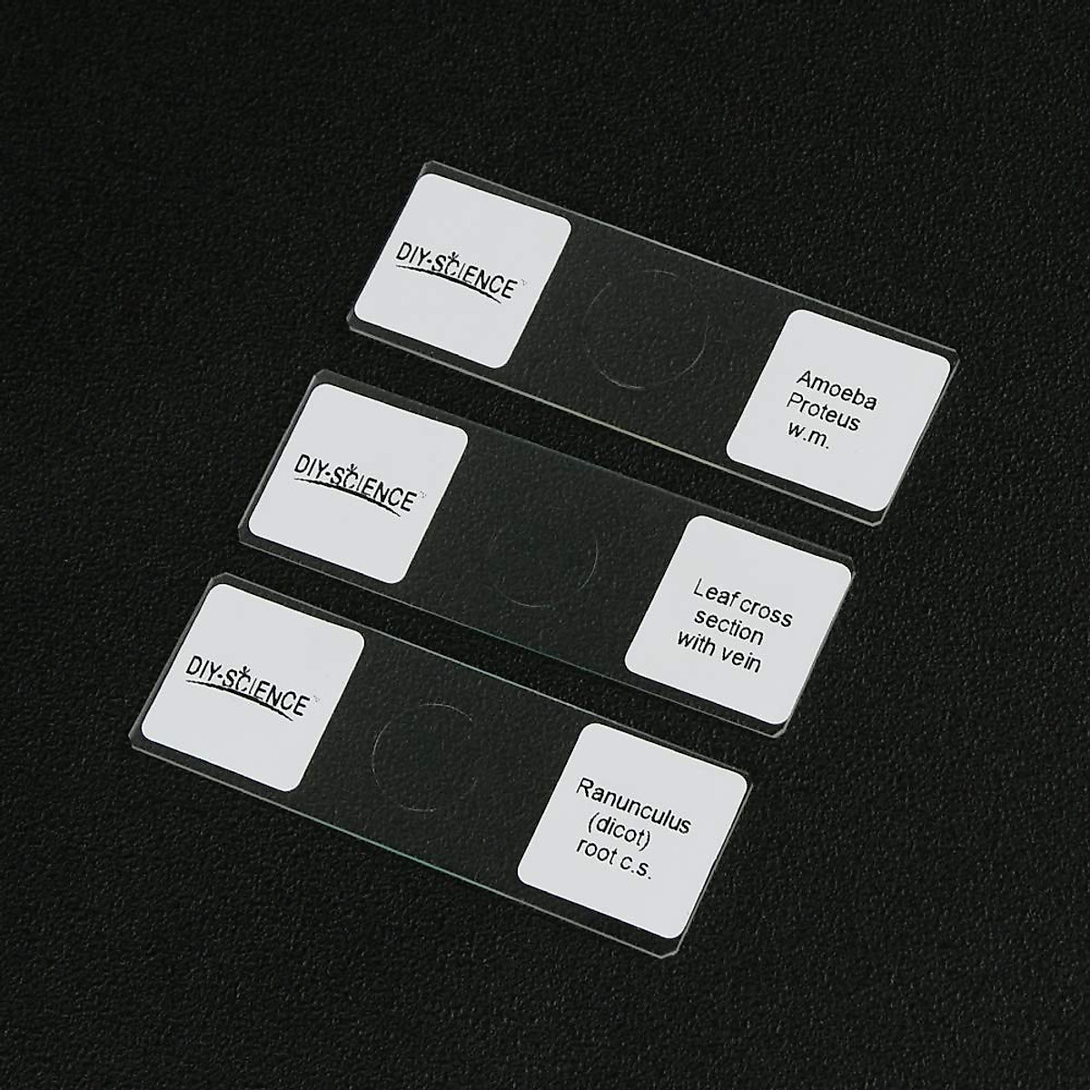 Prepared Apologia Biology Microscope Slides Set, Pack of 16pcs Specimens Specifically for Biology Course (Apologia Slides)
