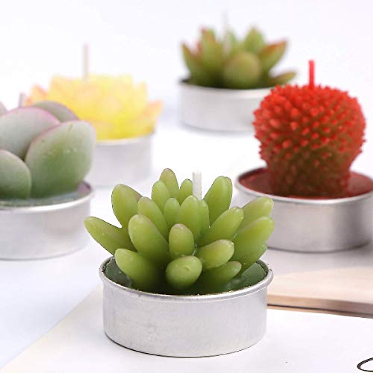 WANGMINGTU Succulent Cactus Tea Light Candles Unscented 6pcs Assorted for Birthday Party Favors Wedding Decor Gift Sets