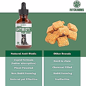 Dog Antibiotics - Antibiotics for Dogs - Antibiotic for Dog - Yeast Infection Treatment for Dogs - Dog Yeast Infection Treatment - Dog Ear Infection Treatment Antibiotic - Bacon Flavored (1 Pack)