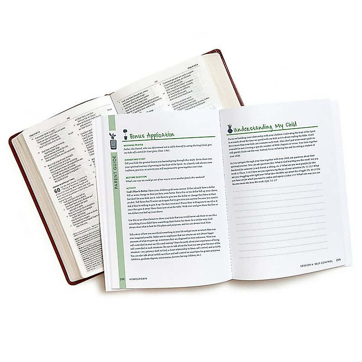 Homegrown - Bible Study Book: Cultivating Kids in the Fruit of the Spirit